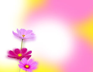 Lovely flowers PPT background PowerPoint Templates Free Download