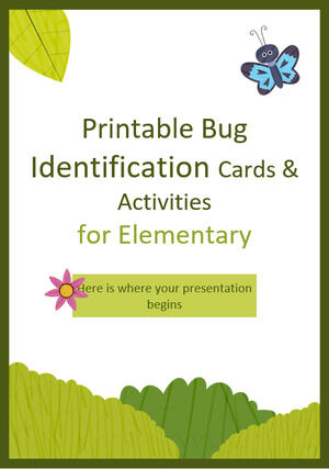 Printable Bug Identification Cards & Activities for Elementary ...