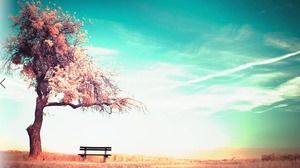 Outdoor big tree grassland PPT background picture PowerPoint Templates ...