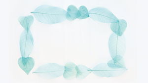 Blue beautiful leaf PPT border background picture PowerPoint Templates ...