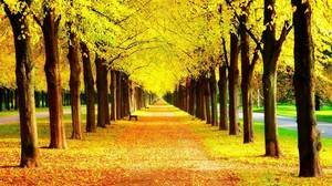 Golden yellow tree PPT background picture PowerPoint Templates Free ...