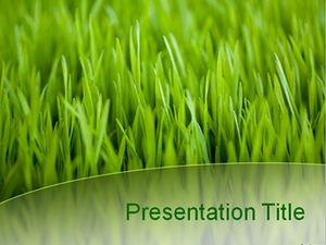 Background Powerpoint Alam