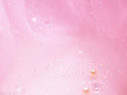 10 pink refreshing PPT background pictures package download PowerPoint ...