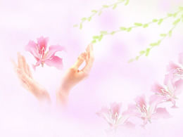 11 warm pink PPT backgrounds PowerPoint Templates Free Download