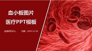 Platelet picture - medical PPT templatePlatelet picture - medical PPT ...