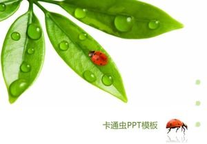 Cartoon bug PPT template PowerPoint Templates Free Download