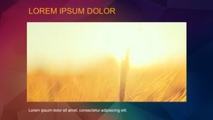 Newcomer self introduction ppt template PowerPoint Templates Free Download