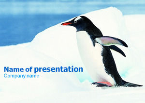 Cute penguin ppt template PowerPoint Templates Free Download