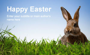 Rabbit PowerPoint Templates Free Download