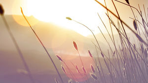 Background Powerpoint Alam